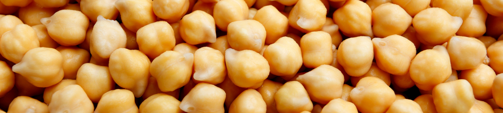 Chickpea chapati/pancake | Dietitians Australia