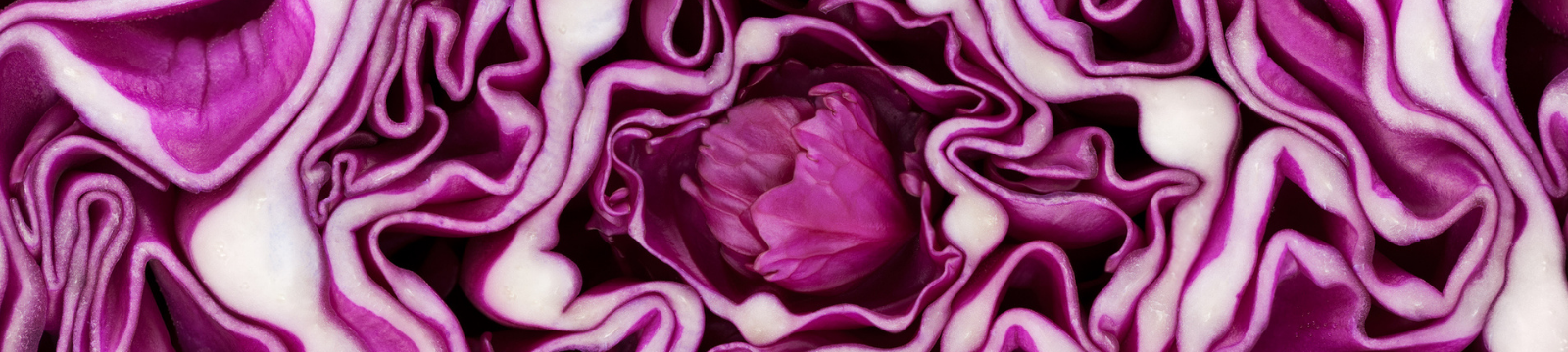 Turkish pickled red cabbage | Dietitians Australia